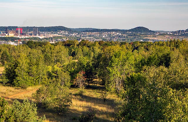 Rocklines – Geopoetics in the Minett region - Biosphere