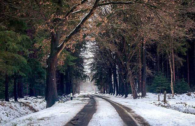 Less and less snow in Luxembourg