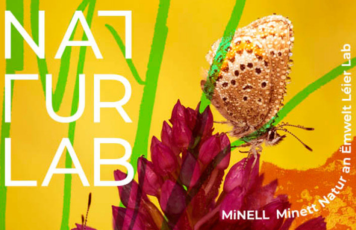 Minell Workshops during summer - Biosphere
